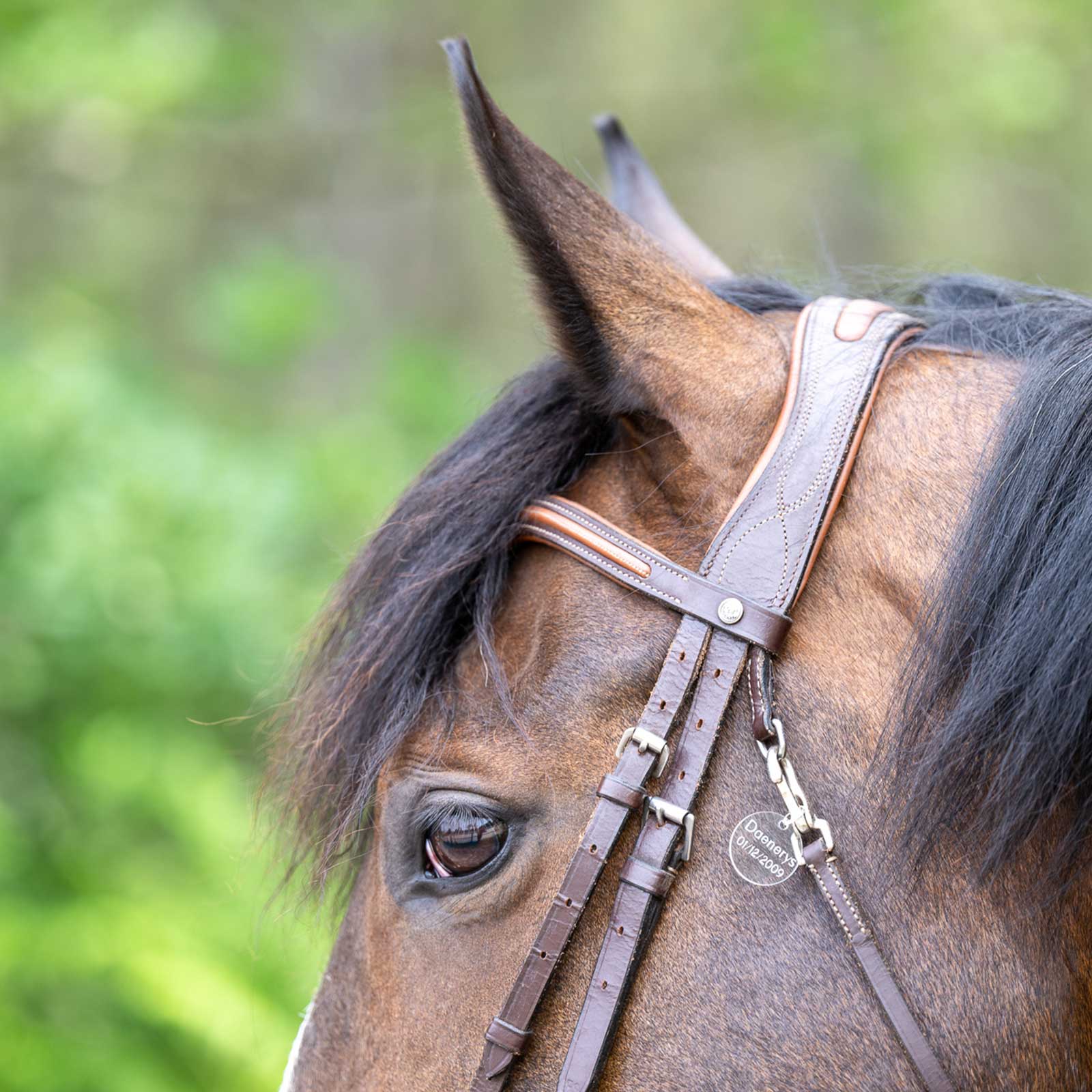Médaille personnalisée acrylique ronde cheval M | Petite Balzane