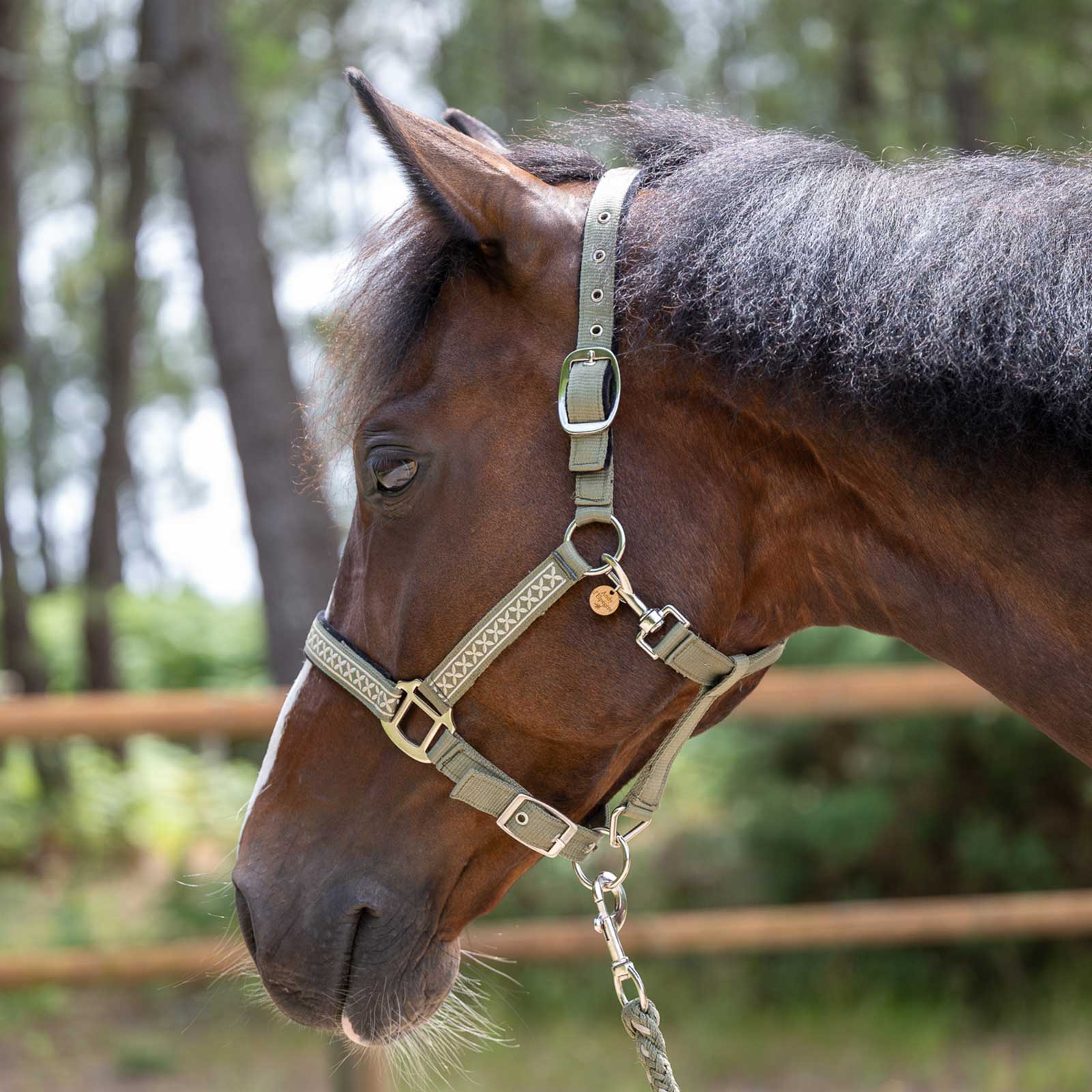 Médaille personnalisée cheval ronde bois M | Petite Balzane