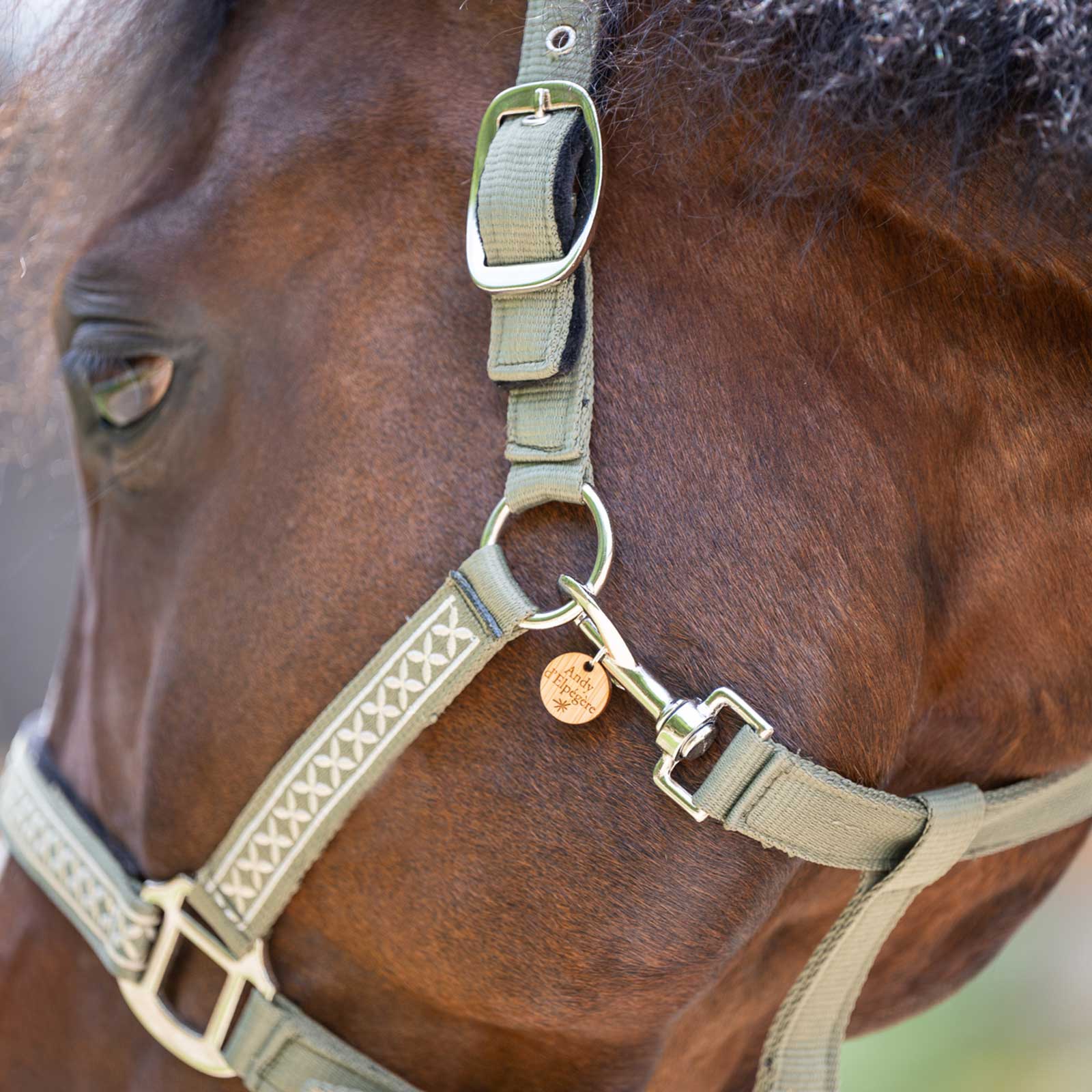 Médaille personnalisée cheval ronde bois M | Petite Balzane