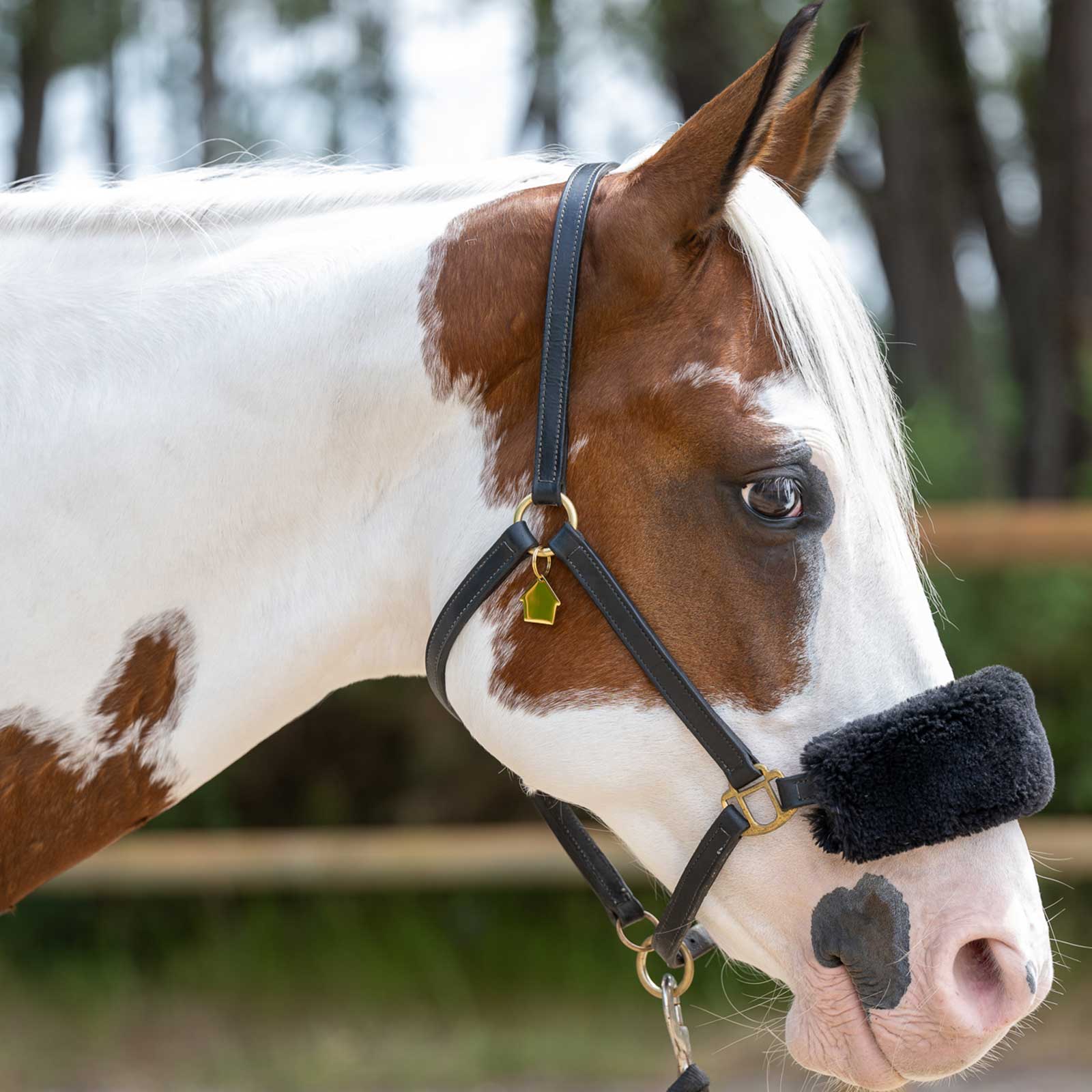 Médaille personnalisée cheval Maison acier doré L | Petite Balzane